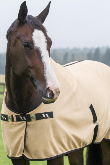 Ridershouse Back on Track Rug Mesh Rug Golden Leon Therapy Blanket