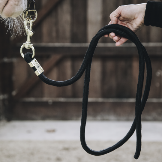 Kentucky Lead Rope Basic