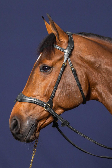 Dyon Motion Bridle 'D Collection' to ride without snaffle in brown and ...