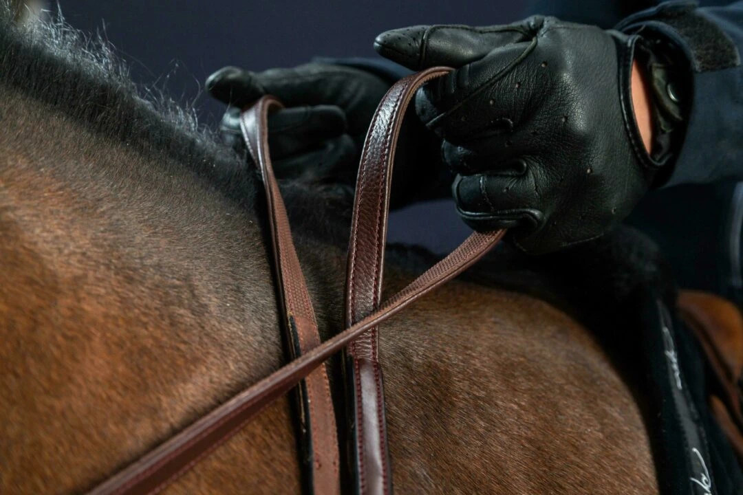 Dyon 5/8 Hunter Reins Black or Brown buy? - available